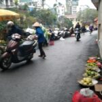 Ha Noi City Tour - Practical Details and Value