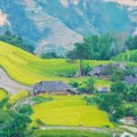 Ha Noi: Northern Taylor Made Tour - What Makes This Tour Stand Out