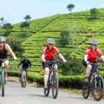 Habarana: Countryside Cycling Tour From Sigiriya, Dambulla - What to Expect on Your Sri Lankan Countryside Bike Tour
