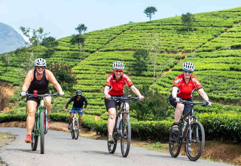 Habarana: Countryside Cycling Tour From Sigiriya, Dambulla - What to Expect on Your Sri Lankan Countryside Bike Tour