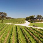 Hahndorf: Gourmet Food & Wine E-Bike Tour - What Does the Experience Feel Like?