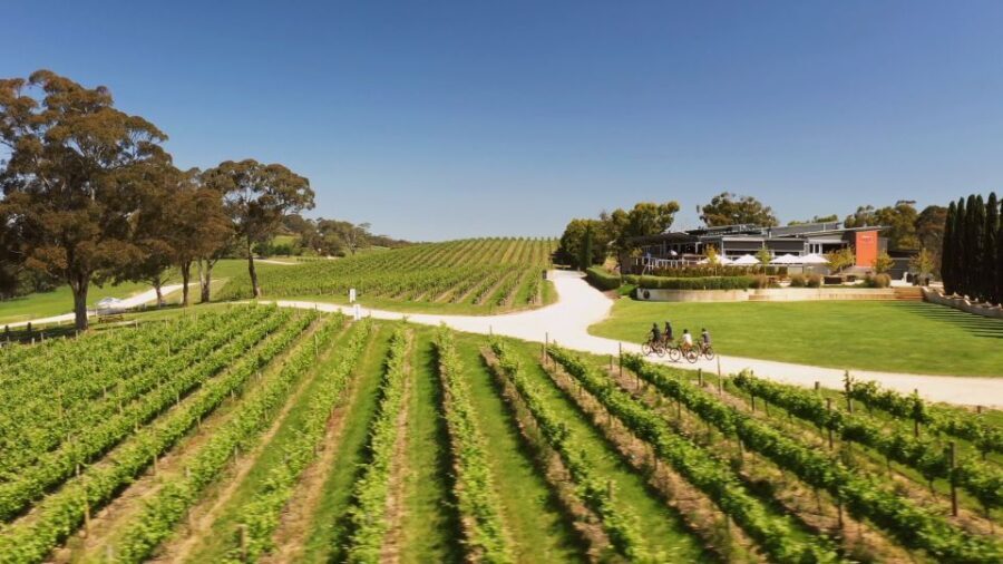 Hahndorf: Gourmet Food & Wine E-Bike Tour - What Does the Experience Feel Like?