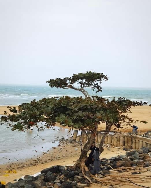 Haikou Nature & Local Life: Volcano, Wetlands & Old Markets - FAQ