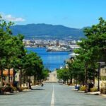 Hakodate 6hr Private Tour with Government-Licensed Guide - How the Tour Works: Logistics and Value