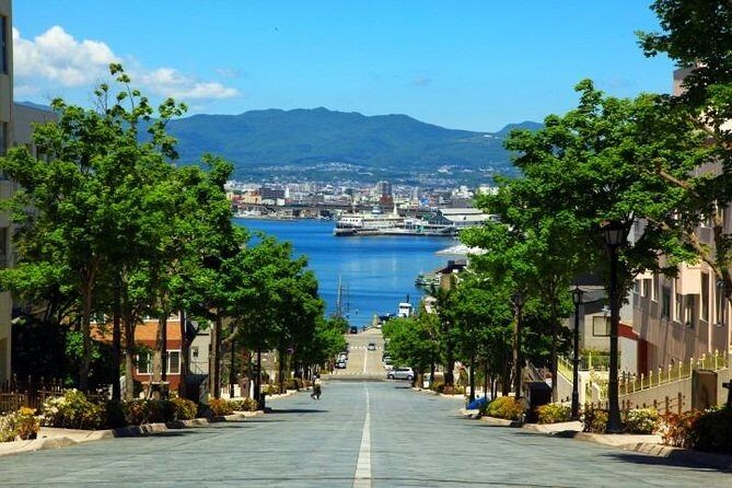 Hakodate 6hr Private Tour with Government-Licensed Guide - How the Tour Works: Logistics and Value