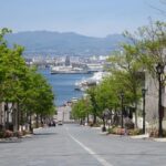 Hakodate: a half-day tour with Government Licensed guide - Visiting the Hakodate Morning Market