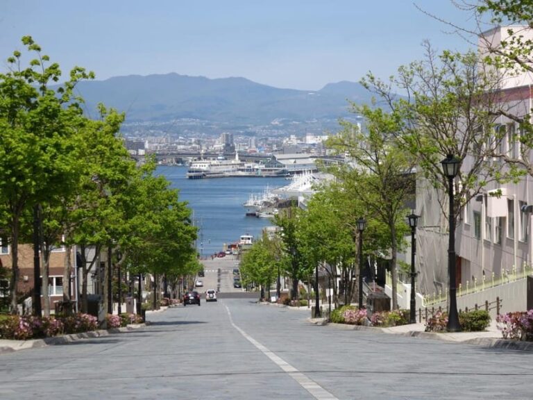 Hakodate: a half-day tour with Government Licensed guide - Visiting the Hakodate Morning Market