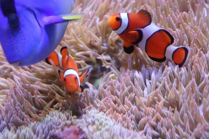 Hakone for Children to Enjoy! Japanese Crafts Experience - What’s Included and What to Expect