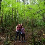 Hakone Hachiri: Old Tokaido Highway Hiking Half-day tour - The Itinerary in Detail