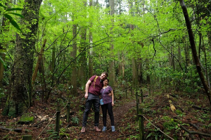 Hakone Hachiri: Old Tokaido Highway Hiking Half-day tour - The Itinerary in Detail