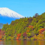 Hakone: Private Tour from Tokyo to Hakone in Spanish - The Itinerary in Detail