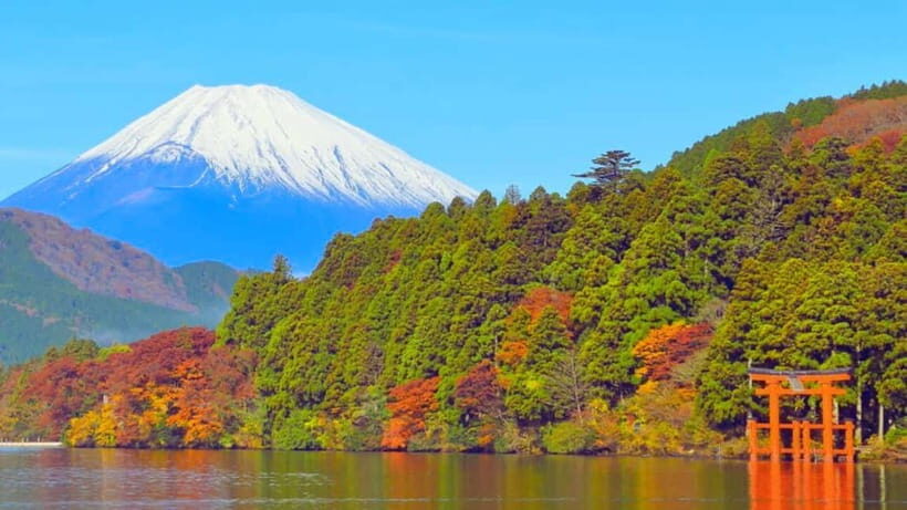 Hakone: Private Tour from Tokyo to Hakone in Spanish - The Itinerary in Detail