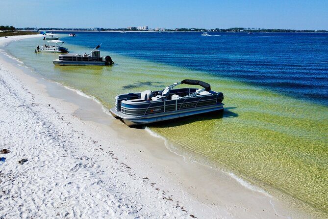 Half Day 90HP Pontoon Rental to Shell Island - The Itinerary and Highlights