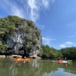 Half day Adventure Kayaking at Mangrove forest - Why This Tour Offers Great Value