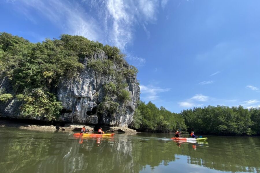 Half day Adventure Kayaking at Mangrove forest - Why This Tour Offers Great Value