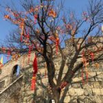 Half Day All-inclusive Private Tour to Mutianyu Great Wall and China Dream Stone from Beijing - Who Is This Tour Best For?