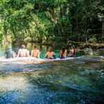 Half Day Blue Lagoon & Eden + Duty free shop'g Tour - Eden on the River: Nature and Culture