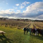 Half-Day Canberra Winery Tour to Murrumbateman - What’s It Like to Join This Murrumbateman Wine Tour?