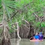 Half Day Canoe Boat Trip At Takuapa Little Amazon - Key Points
