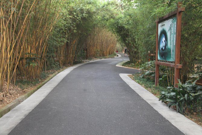 Half-Day Chengdu Panda Research Base Private Tour - The Experience of Visiting Chengdu Panda Research Base