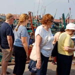 Half Day City Tour - The Experience: What You’ll Love