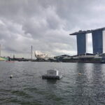 Half Day City Tour in Singapore Orchid Garden - What Travelers Say and Why It Matters