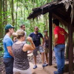 Half day Cu Chi Tunnels Join small group tour - What You Can Expect During Your Visit