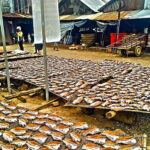 Half-Day Cycling to Discover Battambang's Rural Livelihoods - Who Will Love This Tour?