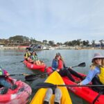 Half Day Dana Point Kayak and Hike - Authentic Experiences and Feedback from Travelers