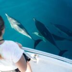 Half Day Dolphin Watching Cruise (Departing from Rotorua) - A Detailed Look at the Experience