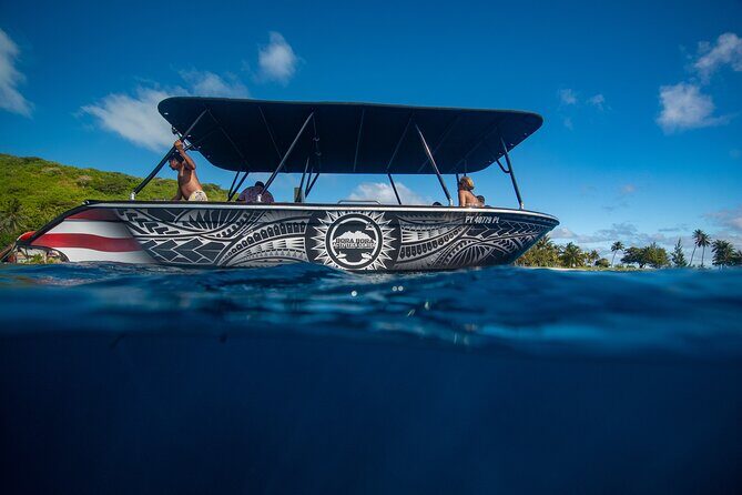 Half day Eco Snorkeling small group Tour in Bora Bora - Why the Reviews Speak Volumes