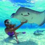Half day Excursion, Drift Snorkeling Lagoon Adventure. 3H - Who Should Consider This Tour?