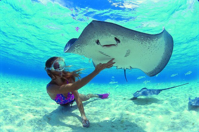 Half day Excursion, Drift Snorkeling Lagoon Adventure. 3H - Who Should Consider This Tour?