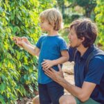 Half-day Exploring Phu Quoc Island by Bicycle - Trek to Suoi Tien Waterfall and Water Play (Seasonal)