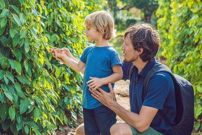 Half-day Exploring Phu Quoc Island by Bicycle - Trek to Suoi Tien Waterfall and Water Play (Seasonal)