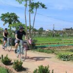 Half-day Farm To Table Adventure In Tra Que Village - Practical Details and What Travelers Should Know