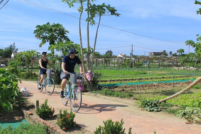 Half-day Farm To Table Adventure In Tra Que Village - Practical Details and What Travelers Should Know