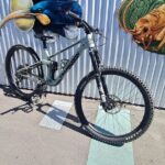 Half Day Full Suspension Acoustic Mountain Bike Rental - What the Trail Experience Looks Like