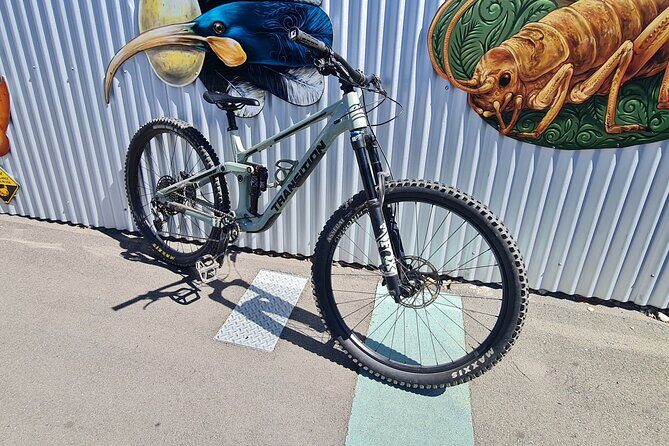 Half Day Full Suspension Acoustic Mountain Bike Rental - What the Trail Experience Looks Like