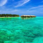 Half-Day Fun Adventure Private Tour in Male - Experience Quality: What You Can Expect