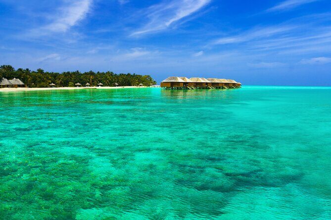 Half-Day Fun Adventure Private Tour in Male - Experience Quality: What You Can Expect