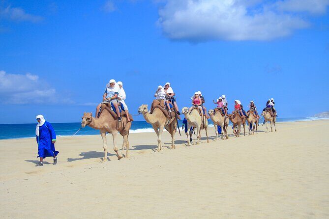 Half Day Guided Camel Safari in Cabo San Lucas - Practical Aspects and What to Expect