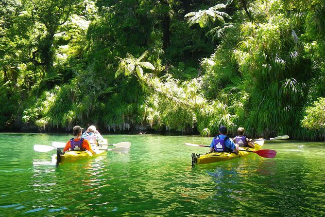 Half-Day Guided Sea Kayak Trip from Picton - What Makes This Tour Stand Out