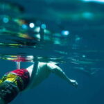 Half Day Guided Snorkel Tour in Los Cabos - What to Expect on the Water