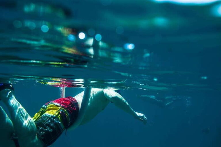 Half Day Guided Snorkel Tour in Los Cabos - What to Expect on the Water