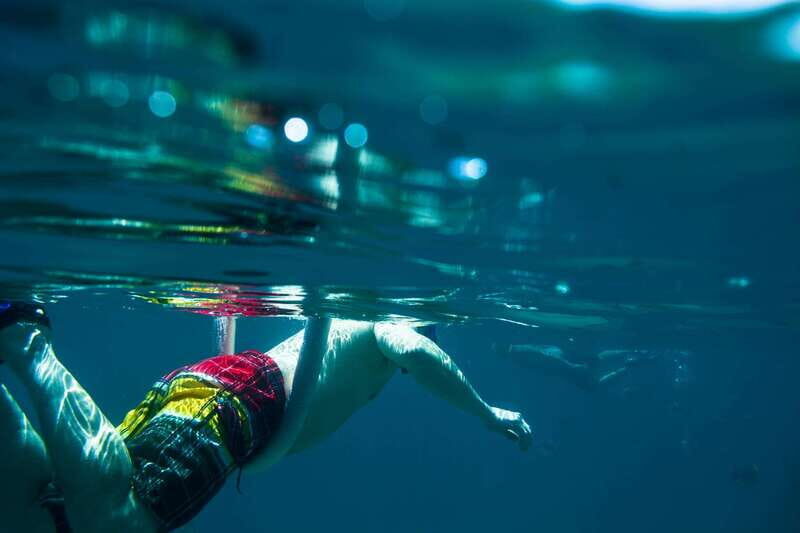 Half Day Guided Snorkel Tour in Los Cabos - What to Expect on the Water