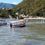 Half-Day Guided Tour of Lake Chapala from Guadalajara - Who Is This Tour Best For?