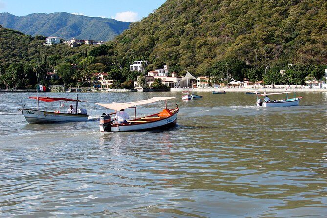 Half-Day Guided Tour of Lake Chapala from Guadalajara - Who Is This Tour Best For?