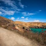 Half Day Guided Walking Tour on Banks Peninsula - Who’s This Tour Perfect For?