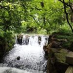 Half-Day Hangzhou Tianzhu Buddhist Mountain Hiking Tour with Green Tea Village - Visiting the Longjing Tea Fields — A Highlight